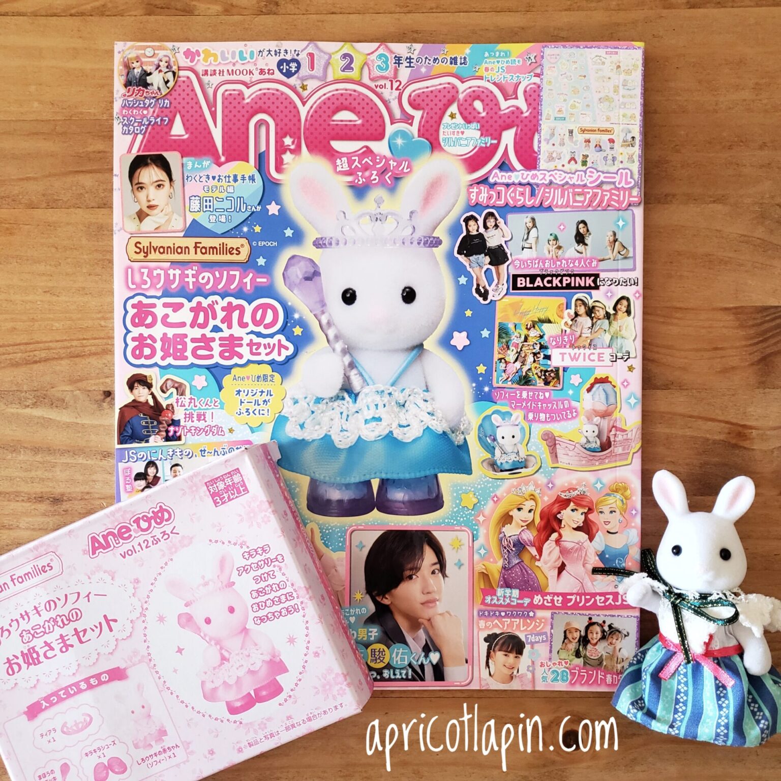 Aneひめvol.12(2022年)はシルバニアファミリーの付録付き！【レビュー】 | 杏うさぎのシルバニア通信